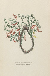 The Marvel and Measure of Peru (Getty Center Exhibitions)